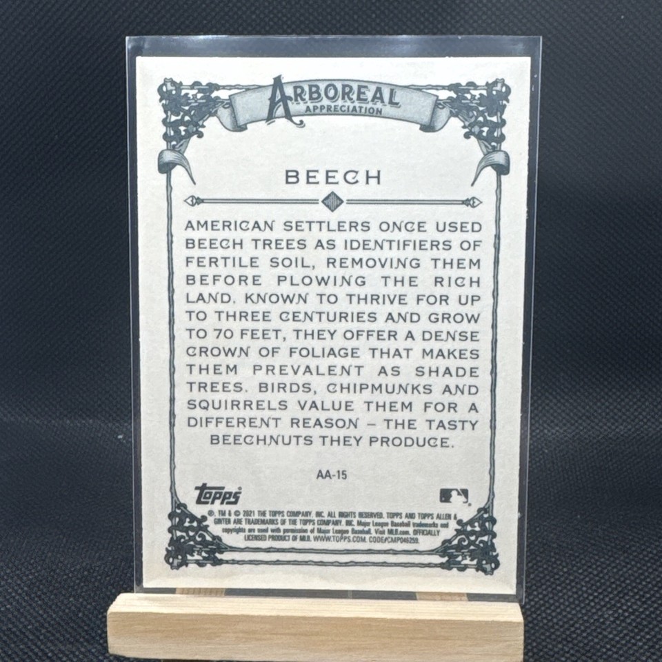 2021 Topps Allen & Ginter #AA-15 Beech Arboreal Appreciation | eBay