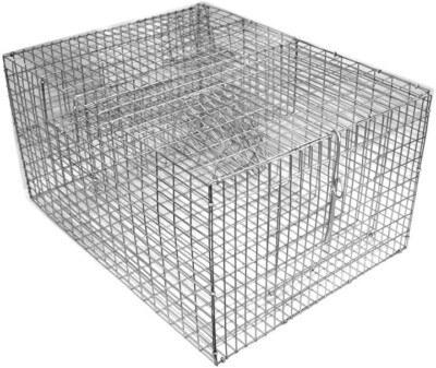 Bird B Gone Sparrow Trap, Bi-Level 8x12x16 Cage, Humane Multi-Bird ...