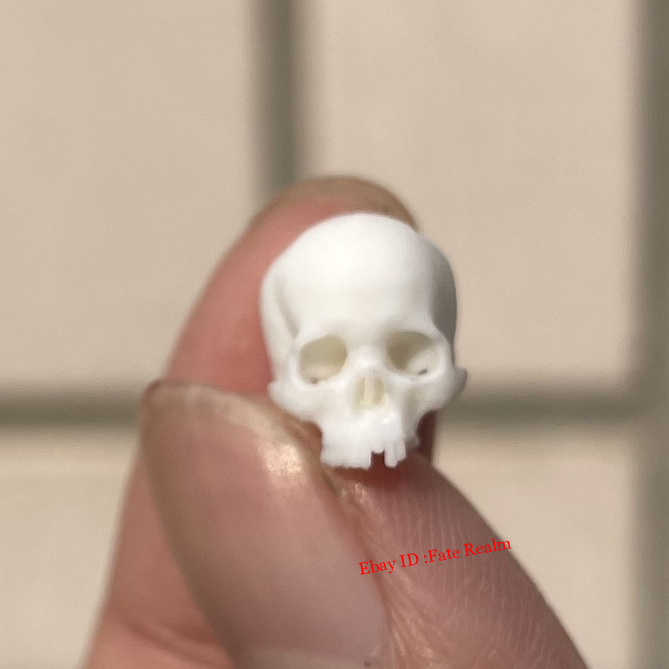 1/18 Scale Human Beings Skeleton Model For 3.75" Action Figure ...