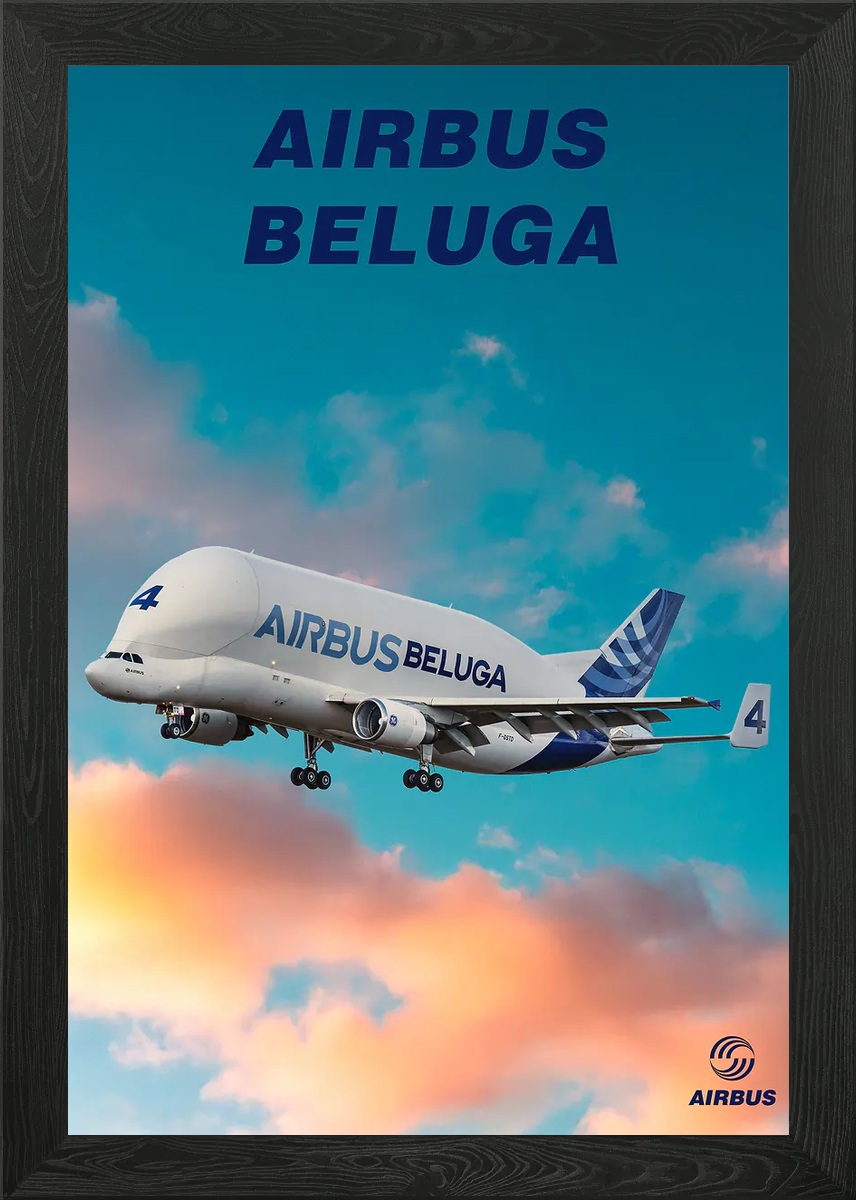 Airbus Beluga in Flight Framed Wall Art Poster Canvas Print Picture ...
