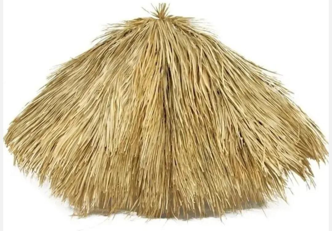 Round Palapa Umbrella