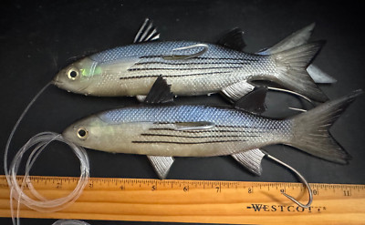 Lot of 2 Williamson live split tail mullet lures - 8 inches - loose | eBay