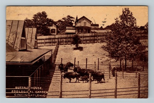 Cincinnati OH-Ohio, Zoological Garden, Buffalo House, c1909 Vintage ...