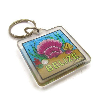 Vintage Keychain Belize Seashells Corals Sand Dollar Underwater Ocean ...