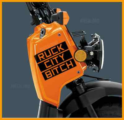 RUCK CITY B Decal - fits Honda Ruckus Vinyl Graphic Sticker moped ...