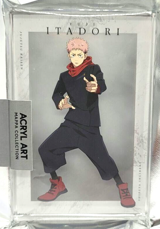 Jujutsu Kaisen Shibuya Incident CLIMAX Acrylic Art Stand Block Yuji ...