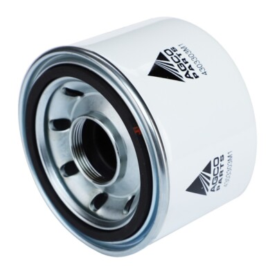 4303303M1 Challenger MT425B MT445B Hydraulic Filter Standard Flow RH | eBay