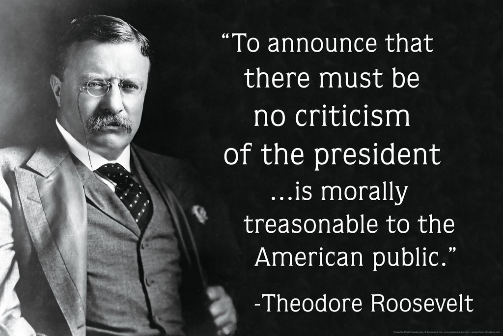 Theodore Roosevelt Criticism of the President Quote Teddy Poster 12x18 ...