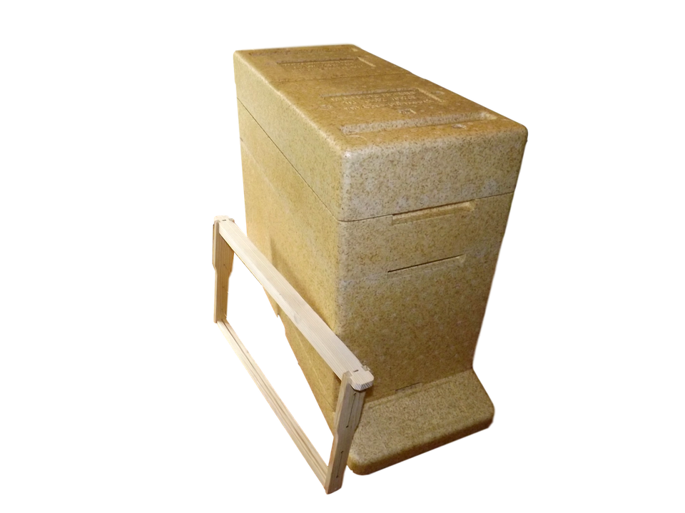 Langstroth Poly Nuc with Miller Feeder - For 5 Frames - Beekeeping ...