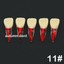 5Pcs Dental Endodontic Root Canal RCT Practice Pulp Cavity Endo Teeth ...