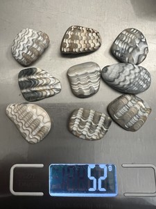 Bulldog Rocks | eBay Stores