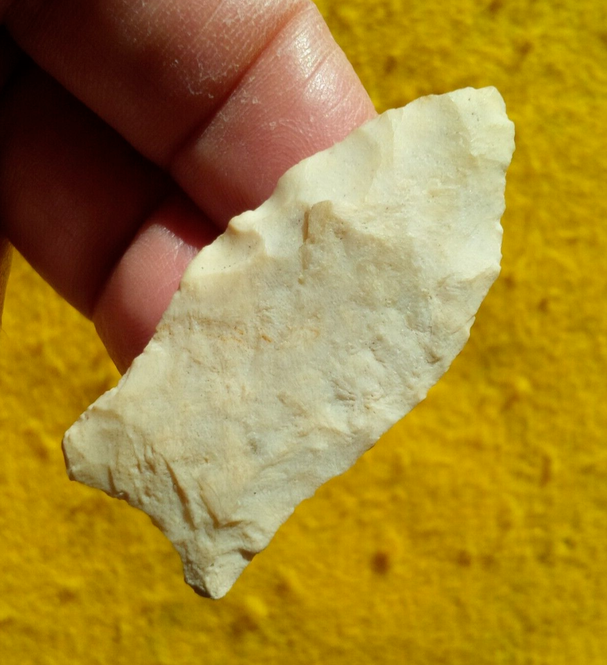 2" PALEO SIMPSON FLORIDA ARROWHEAD Authentic Indian Artifact AUTHENTIC ...