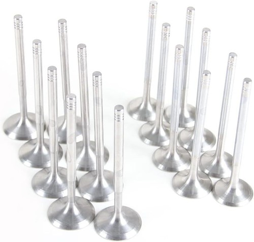 Intake & Outlet Valves Set For BMW 318i 320i 520i X1 X3 E46 E60 E90 E92 ...