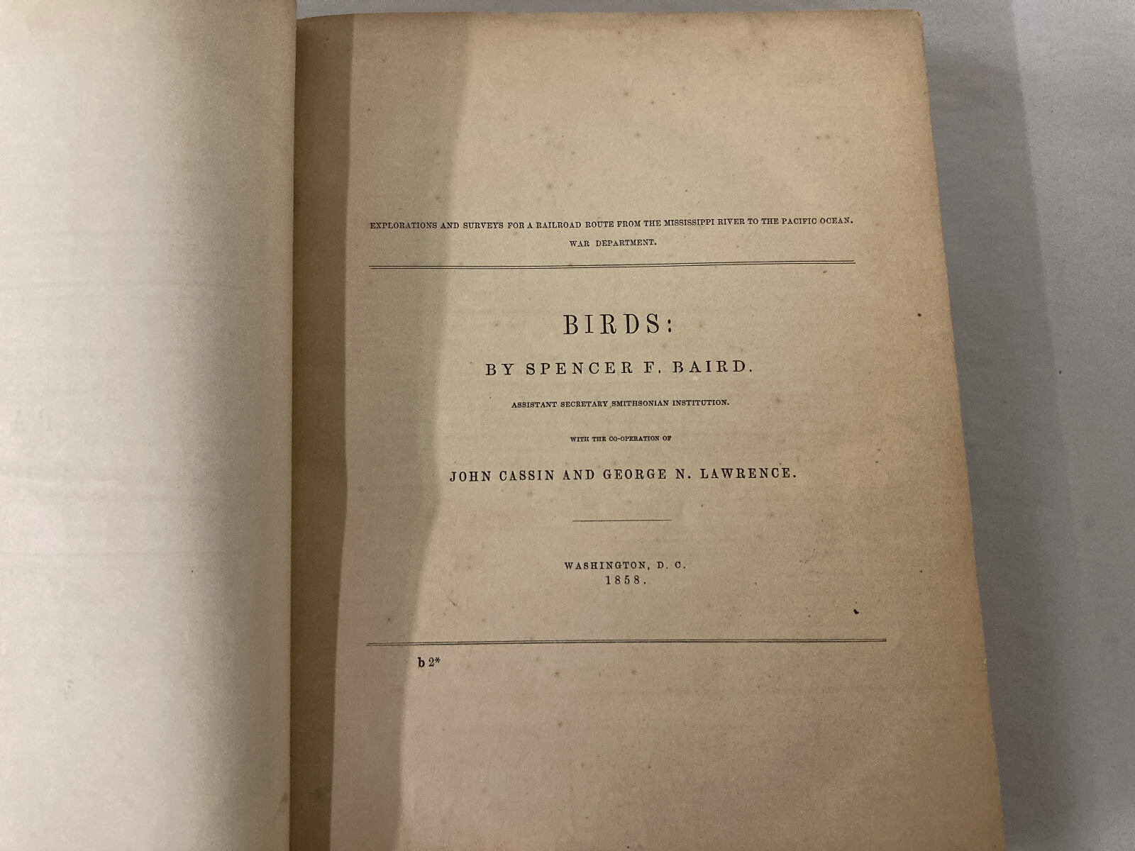 Senate Reports on Explorations & Surveys -Vol, 9, Part II - Birds | eBay