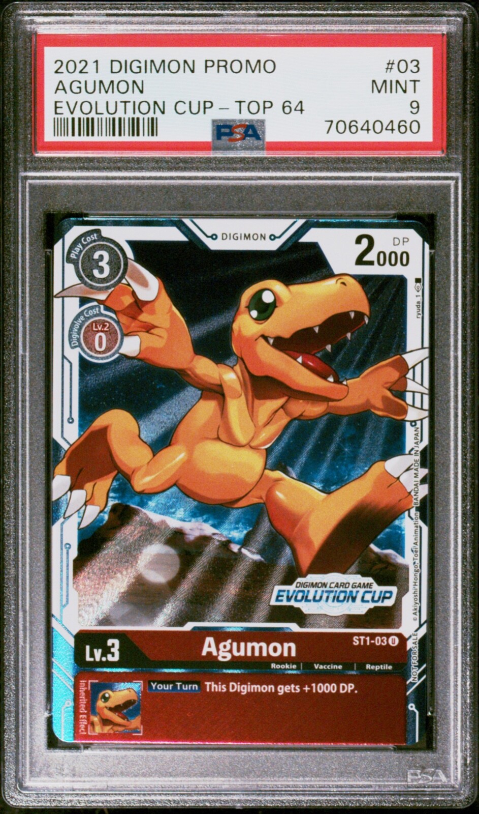 Digimon Agumon Evolution With Names