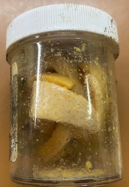 Vintage Uncle Josh Pork Rind Baits, The Porker, 4 baits OLD | eBay