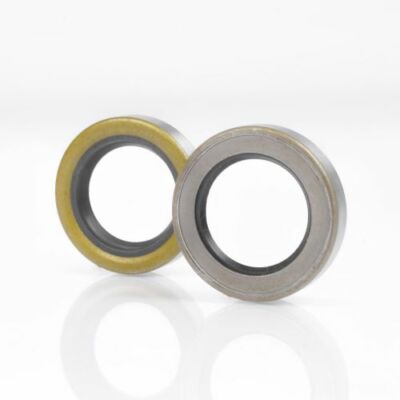 Oil seals W20-47-10 B2 - DICHTOMATIK | eBay UK