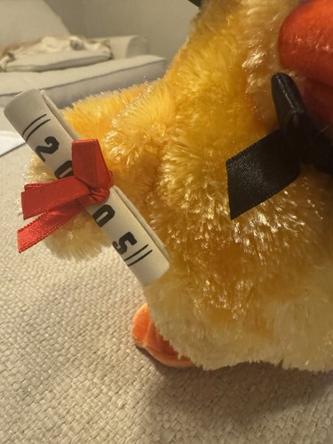 Interactive Dan Dee Chicken 2005 Graduation Gift Does Grad Walk ...