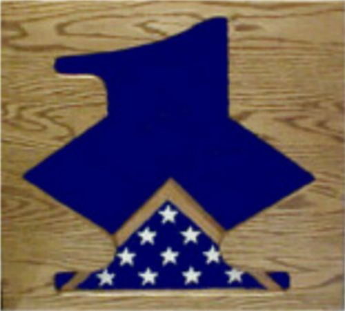 FIRST SERGEANT 1STSGT MILITARY AWARD WOOD SHADOW BOX MEDAL DISPLAY CASE ...