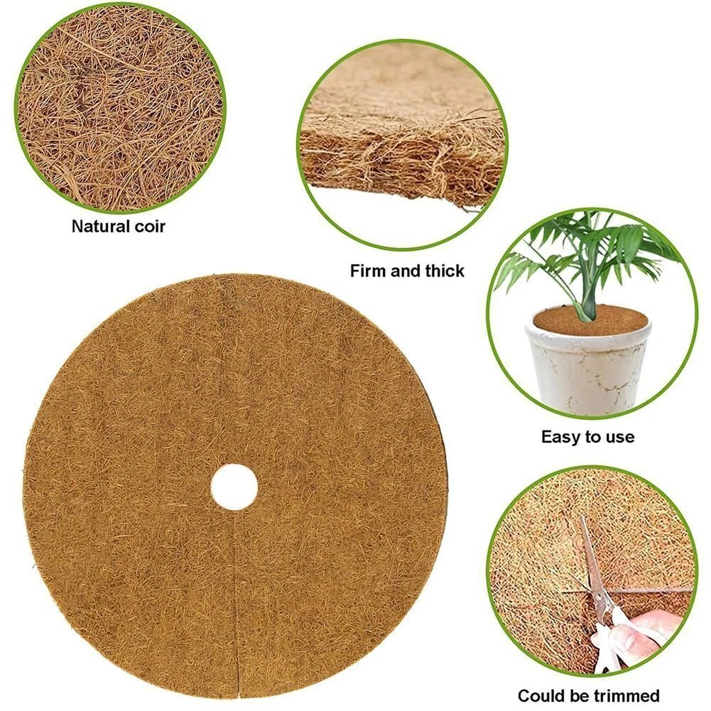 Coir Plant