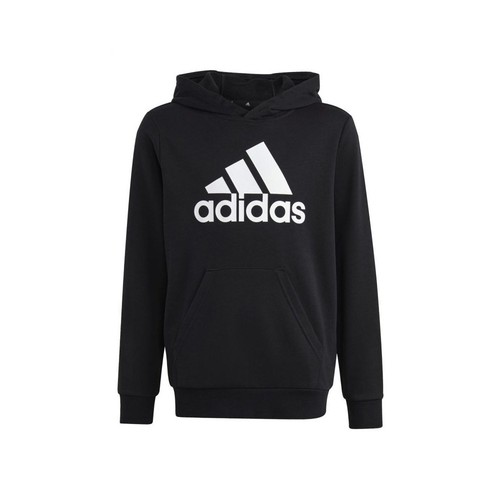 Boys Adidas Big Logo Essentials Hoody Training Sweatshirts JR HR6380 ...