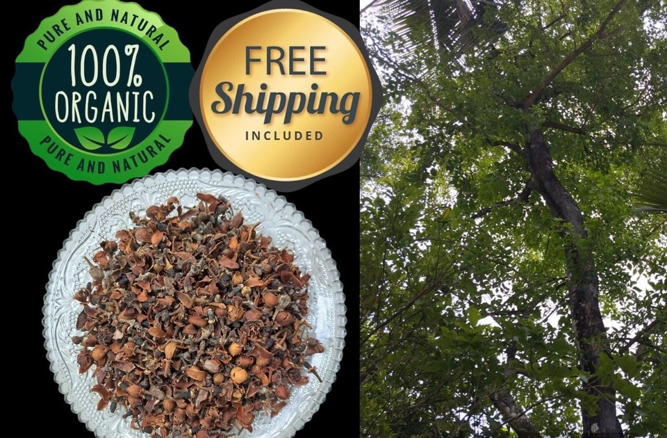 Beli Flower Dried from Ceylon 100% Organic Aegle Marmelos AGolden Apple ...