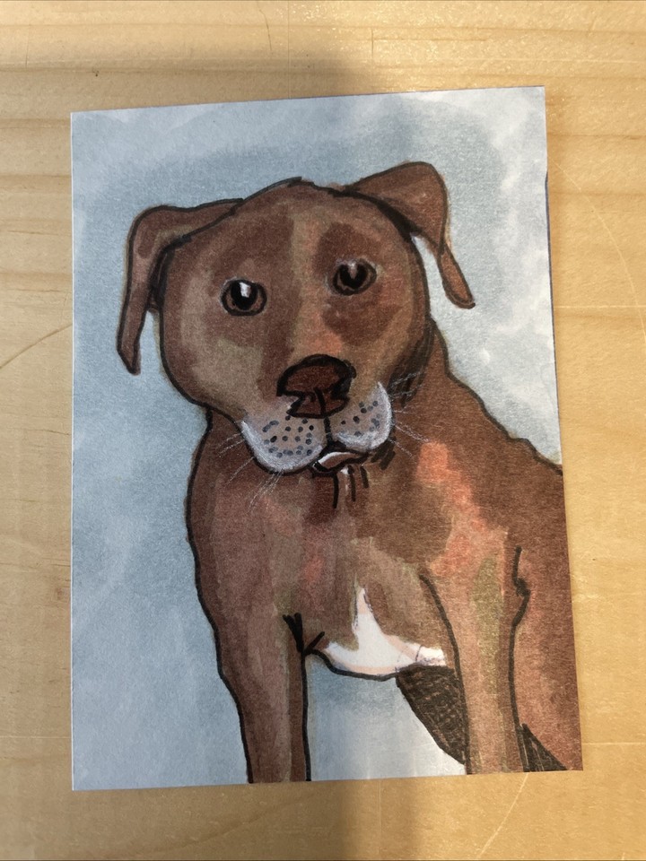 ACEO Original Marker Drawing, Dog Art, ATC, Bully Breed House Hippo | eBay