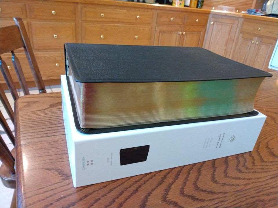 ESV SUPER GIANT Print Bible Black genuine leather ©2001~ 17 point font ...