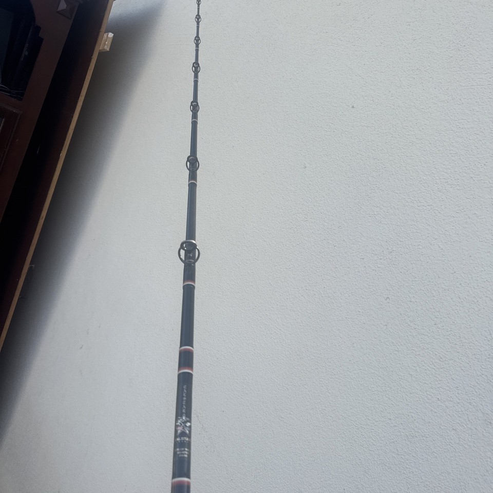 Calstar GG-670C 7' Rod Graphite | eBay