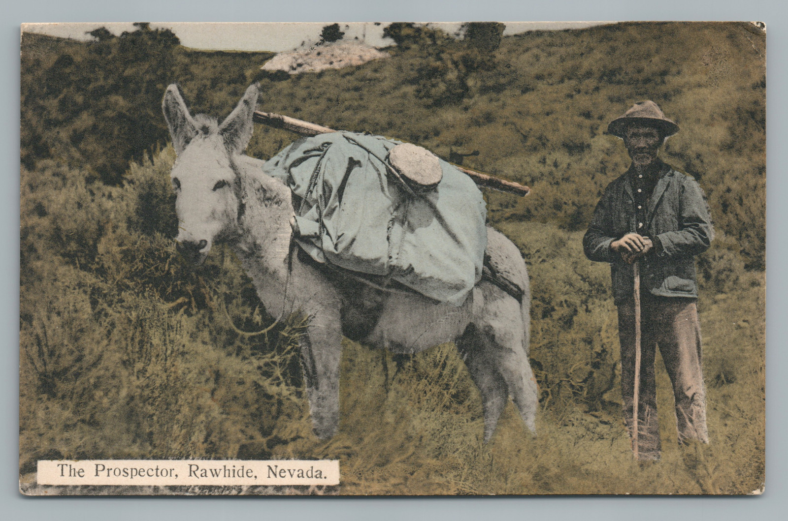 Gold Prospector RAWHIDE Nevada RARE Handcolored Mining Donkey Antique ...