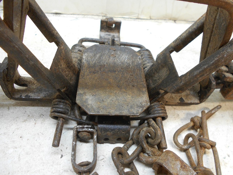3 northwoods no-3 dbl coil spring traps 4 coipled laminated bottom ...