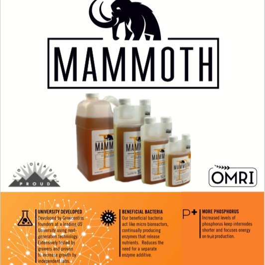 Mammoth P Microbes Active Microbial Phosphorus Bloom Booster Nutrient ...