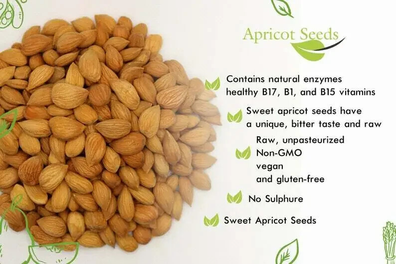 Arashan Apricots Seeds - Dried Sweet Raw Apricot Kernels (1 LB - 16 oz ...