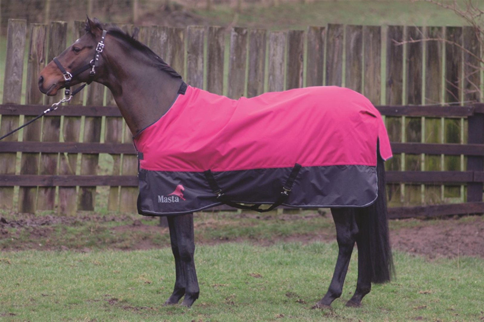 Masta Heavyweight 340g Turnout Rug Winter Avante | 600 Denier Outdoor ...
