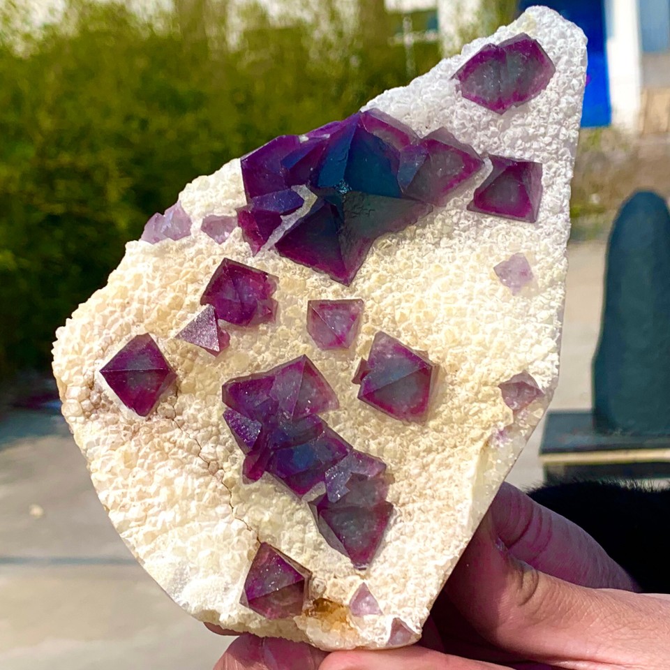 1.68LB Natural transparent purple cubic fluorite mineral sample Inner ...