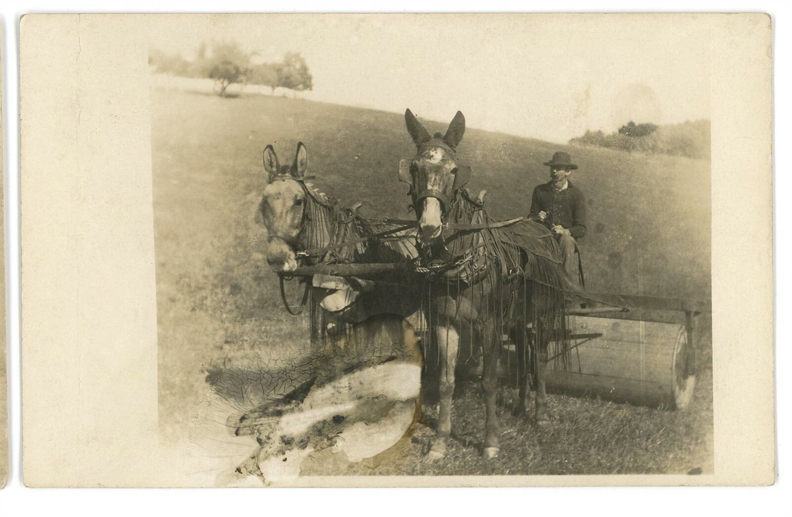 RPPC Horse Drawn Wooden Roller Farming Agriculture Real Photo Vintage ...