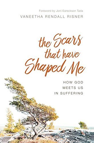 THE SCARS THAT HAVE SHAPED ME: HOW GOD MEETS US IN By Vaneetha Rendall ...