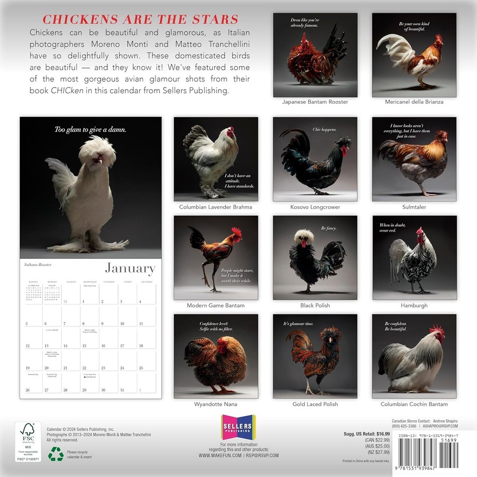 GLAMOUR CHICKS - 2025 WALL CALENDAR - BRAND NEW - 939847 | eBay