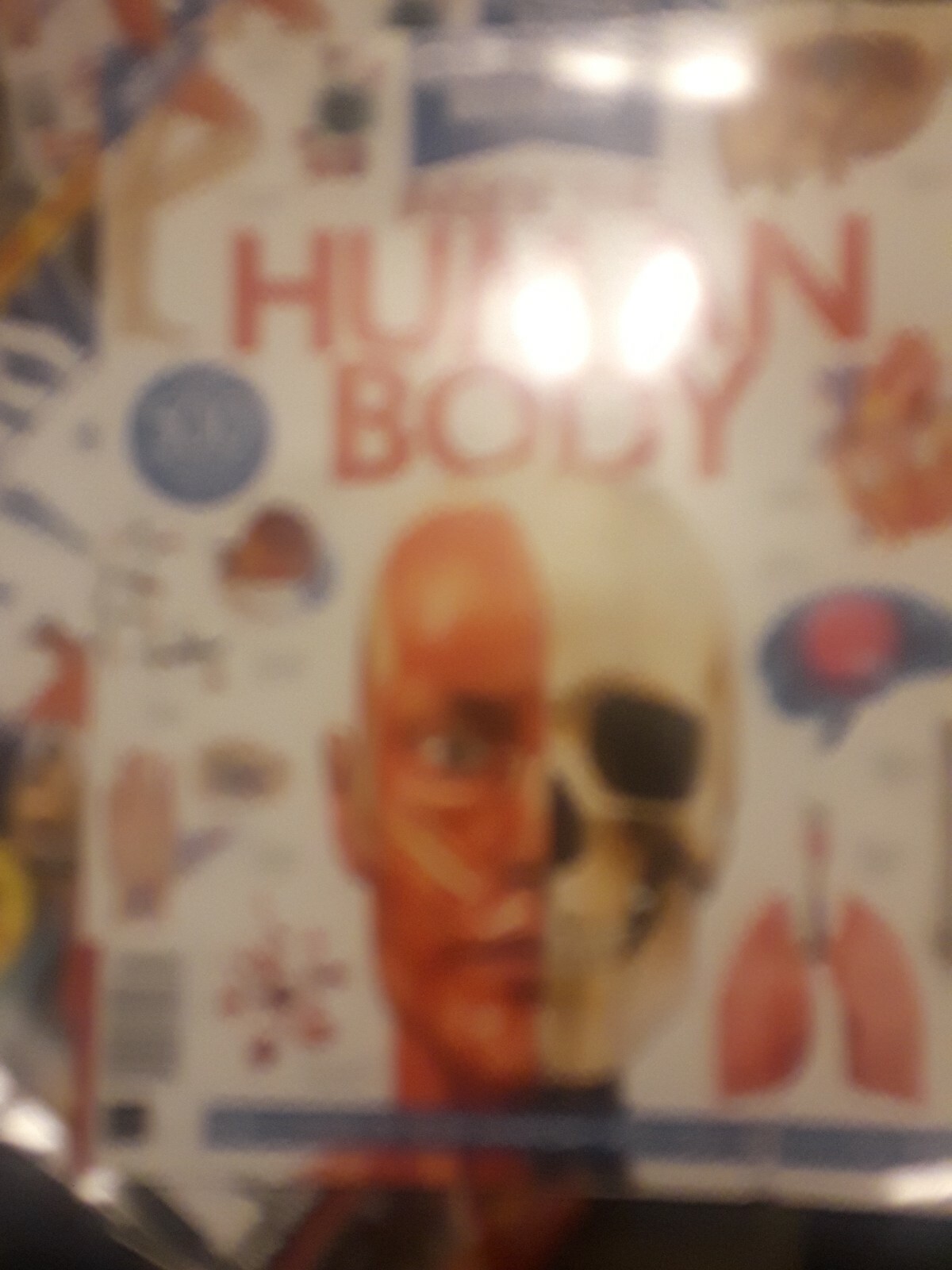 2018 The Curious Mind Series:Inside The Human Body Magazine | eBay