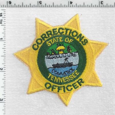 Department of Correction (Tennessee) 1st Issue Officer Cap/Hat Patch | eBay