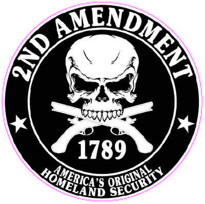2nd Amendment Right to Bare Arms Large 10" x 10" Decal | eBay
