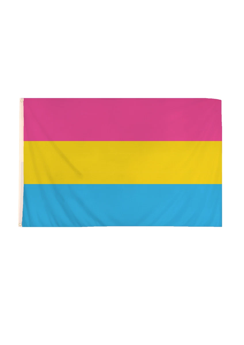 Pride Flag Guide Pride Flags And Their Meanings Sfgmc 42 Off
