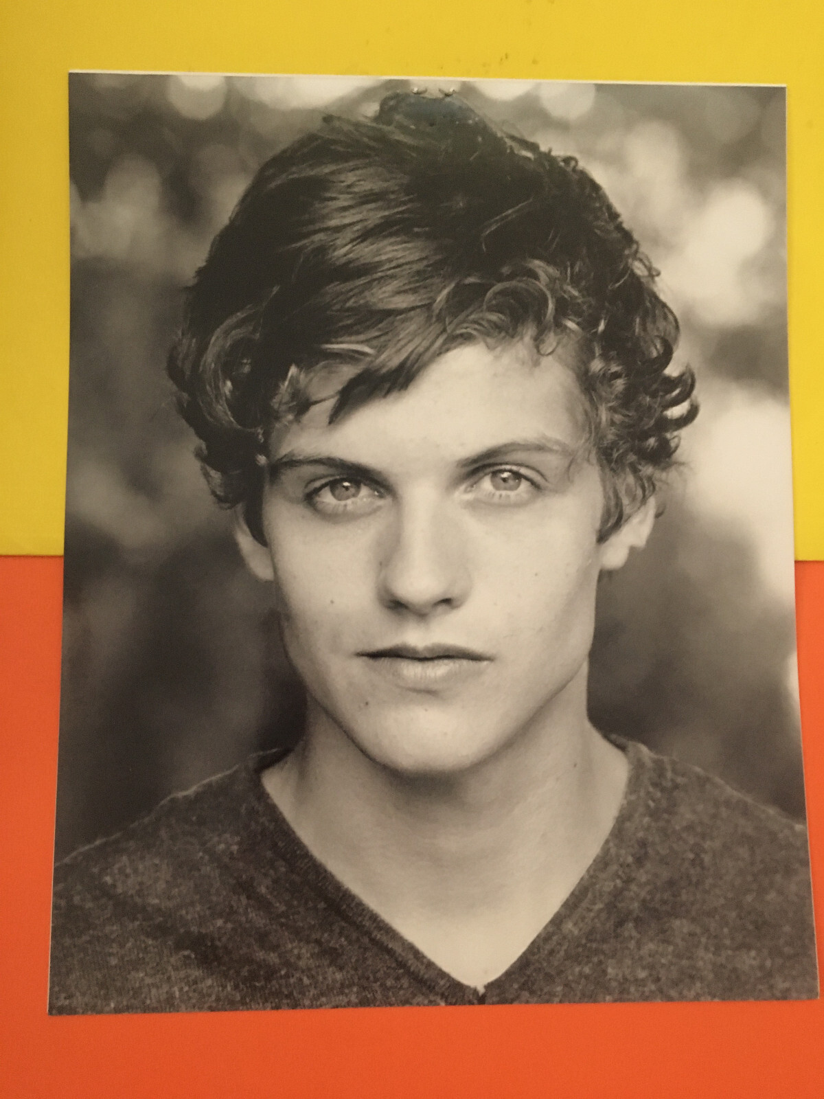 Daniel Sharman The Collection