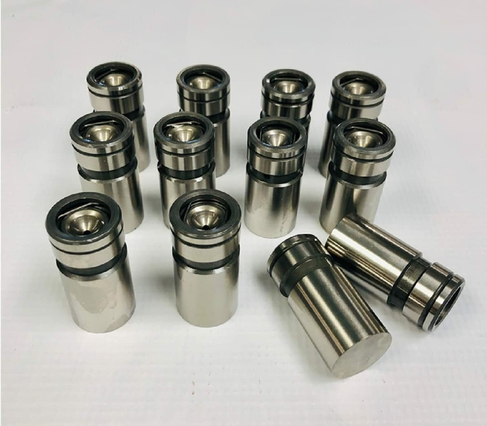 HYDRAULIC Flat Tappets/Lifters Set/12 for SOME AMC/Jeep 6cyl 196 232 4. ...
