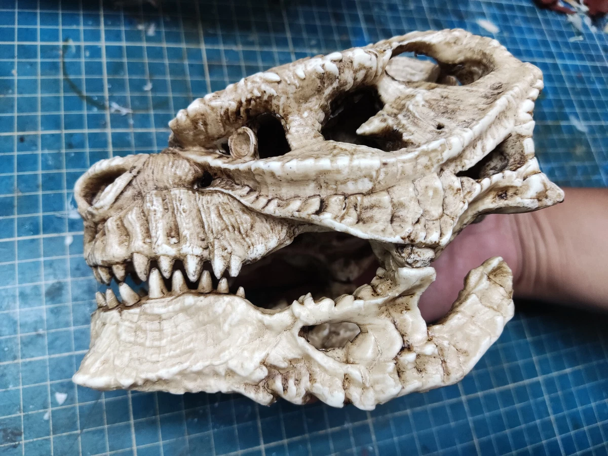 Godzilla Real Skeleton