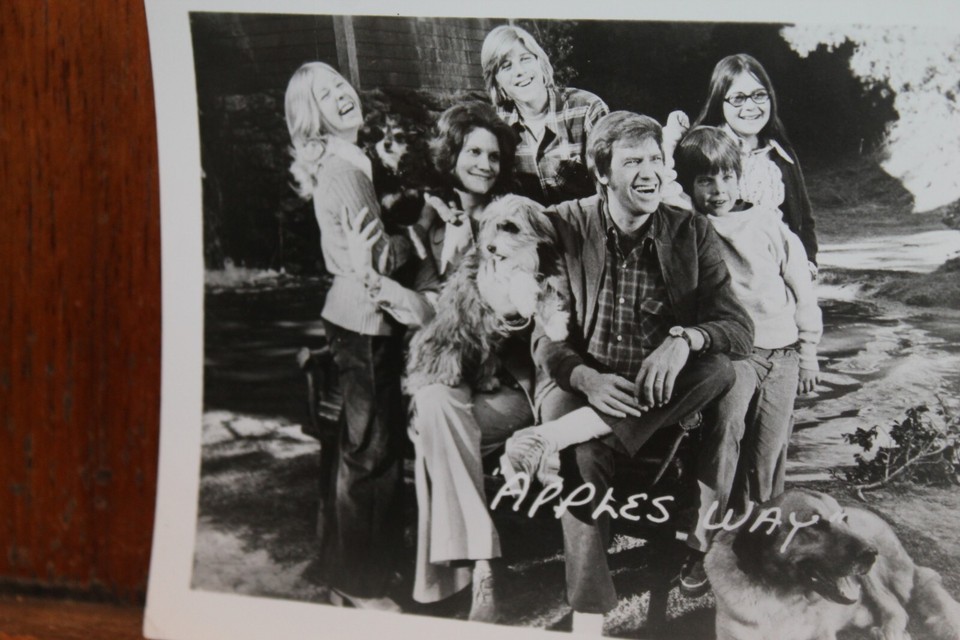 Vintage TV Show Mini Promo Photo Apple's Way Frances Lee McCain Kristy ...