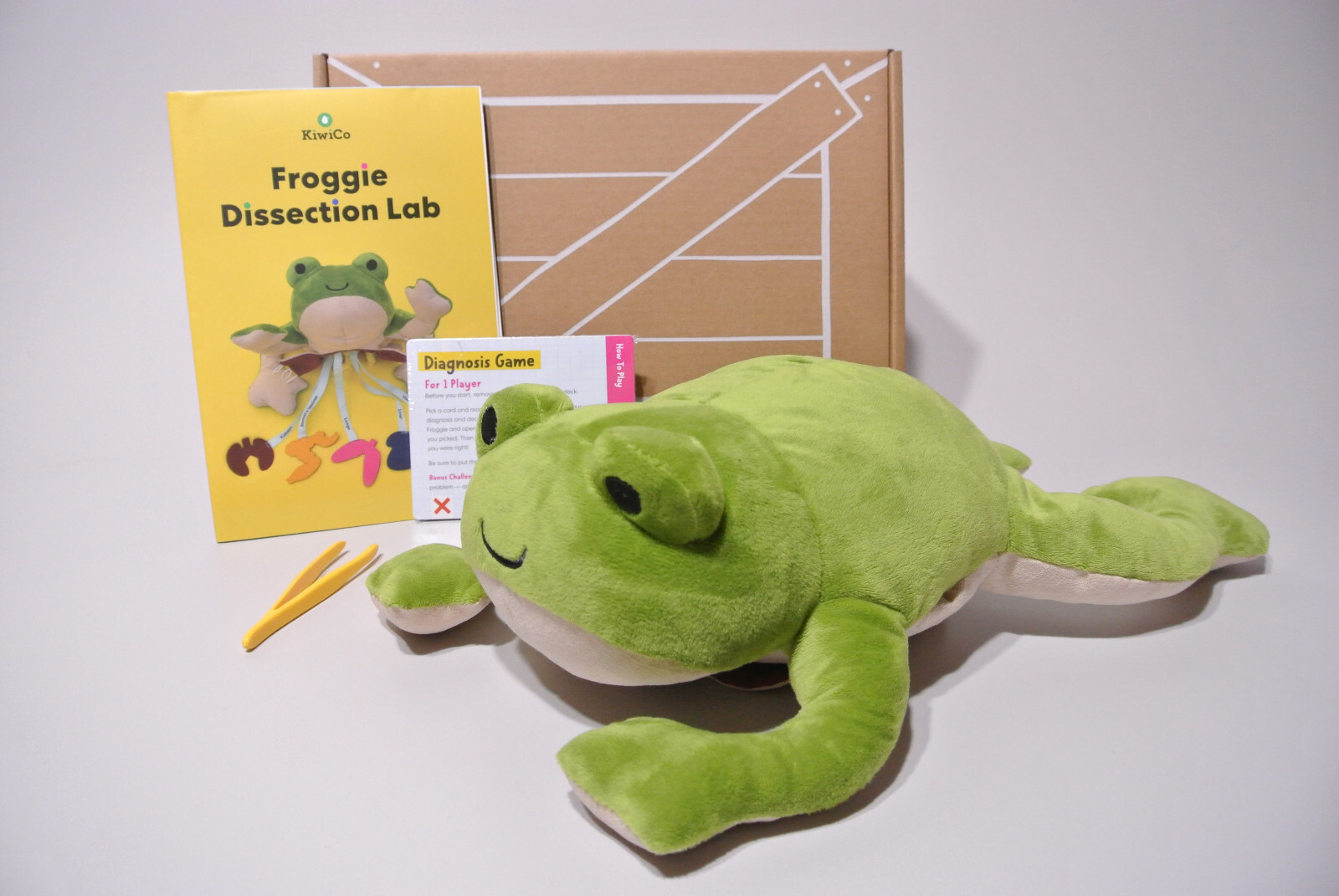 KiwiCo Froggie Lab Dissection Frog Science Plush Learning Toy Kit Ages ...