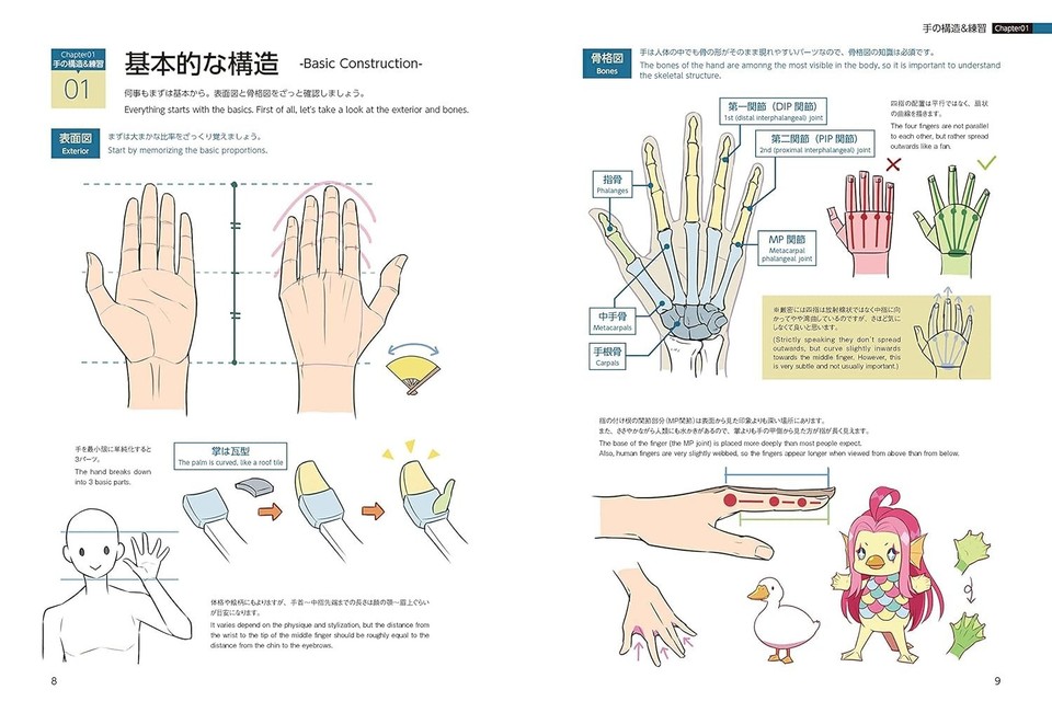 How to Draw Practical Poses of the Hands Manga Guide Book | eBay