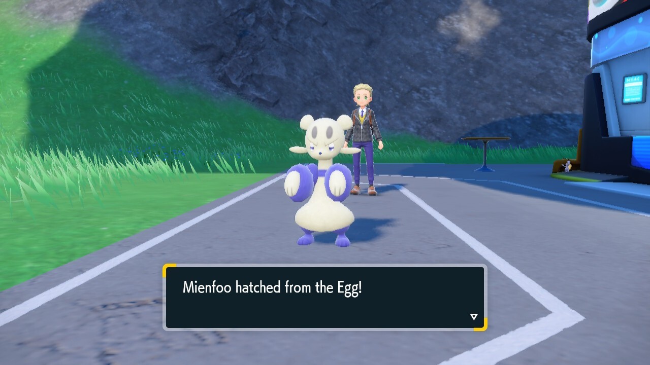 Mienfoo XXXL Shiny Egg Lv. 1 6IV Jumbo Mark Size Jolly Pokemon Scarlet ...