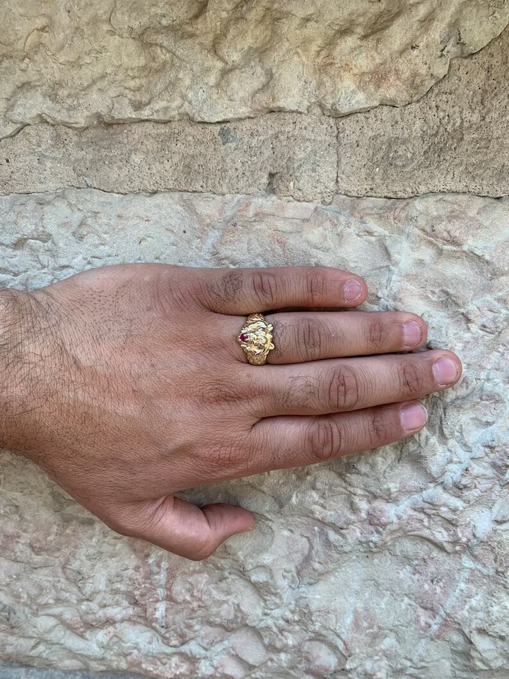 14K Yellow Gold Open Mouth Lion of Judah Ruby & Diamonds Unique Jewish ...